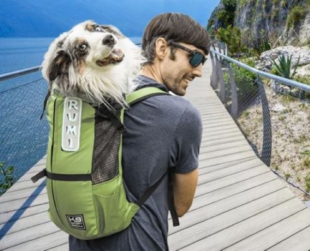 Dog Backpack | Dog Backpack for Biking